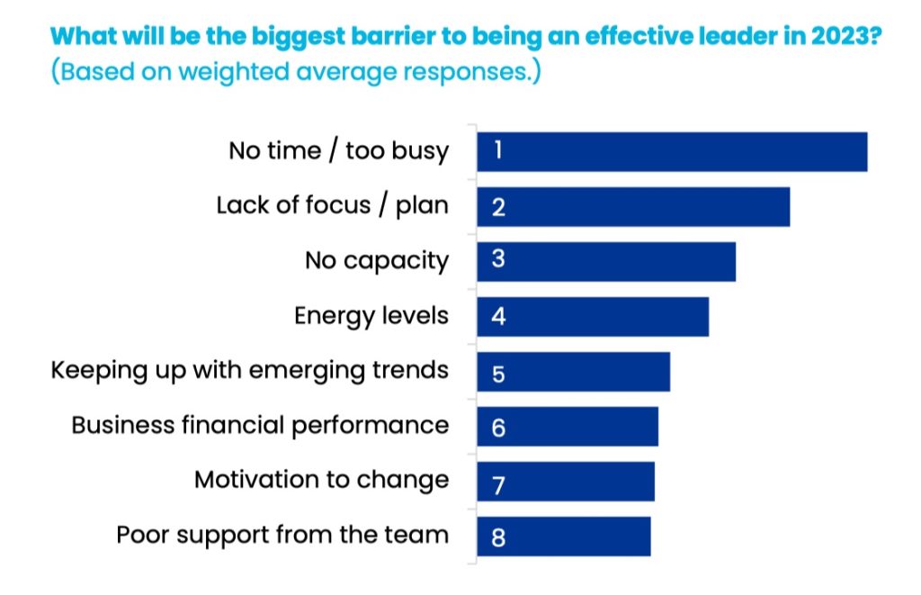 Business Leader's Report 2023 - Emergination