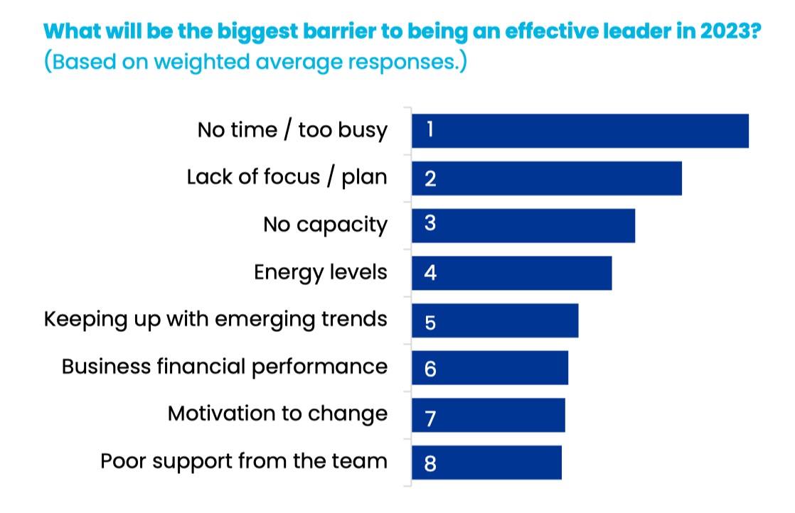 Business Leader's Report 2023 - Emergination